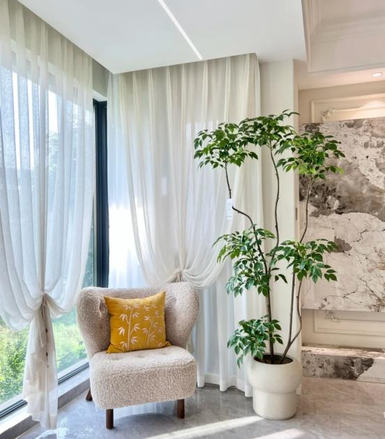 Đặt 1 trong 6 cây phong thủy này trong phòng khách: 9/10 gia đình đều ...