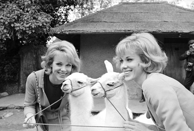 Cái kết viên mãn: Cặp song sinh "đẹp nhất thế giới" Alice và Ellen Kessler chọn an tử cùng ngày ...