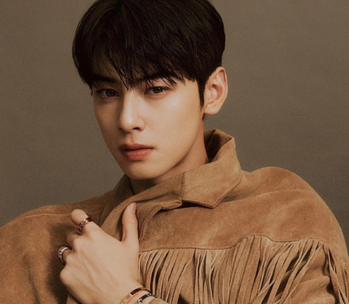 Tin sốc vụ Cha Eun Woo trốn thuế hơn 357 tỷ: Nam ca sĩ né thuế tài tình ...