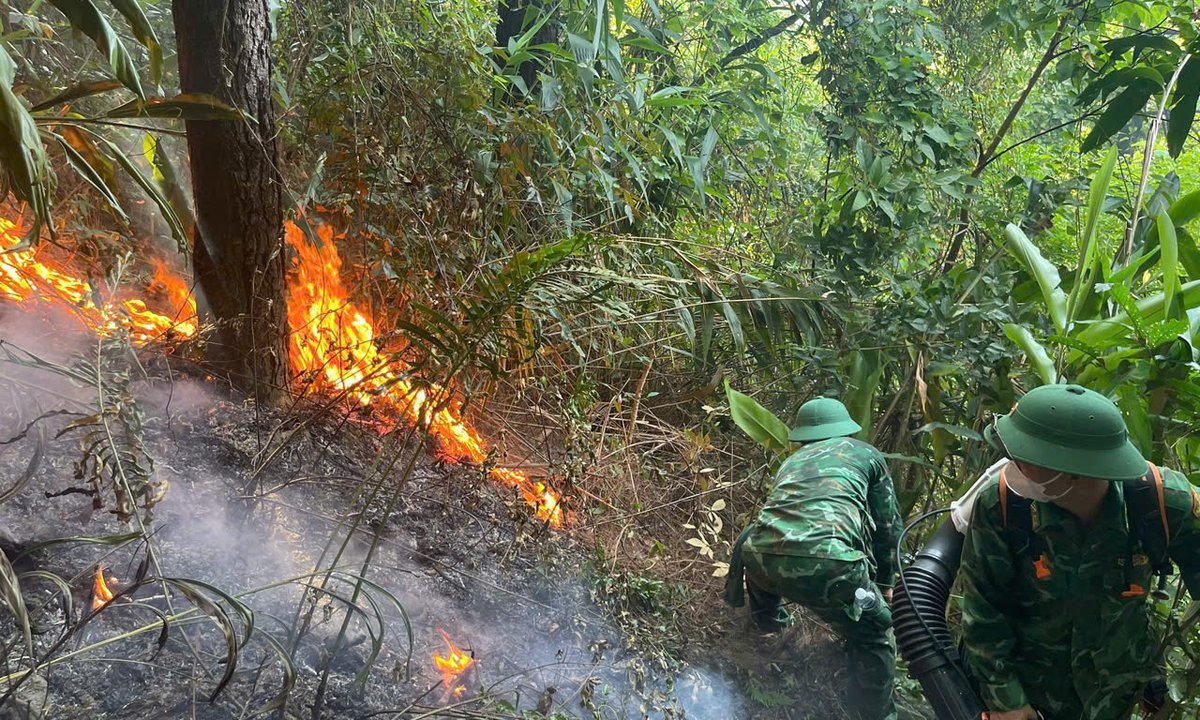 Nghi đốt ong lấy mật, cháy dữ dội 3.000 m² rừng phòng hộ Đèo Ngang